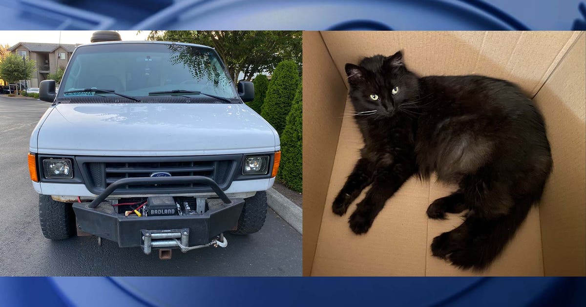 Olympia man's stolen van located but cat is still missing | FOX 13 Seattle