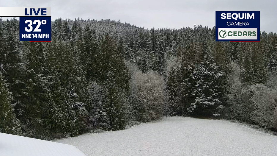 Seattle weather: Lowland snow, plunging temperatures ahead | FOX 13 Seattle