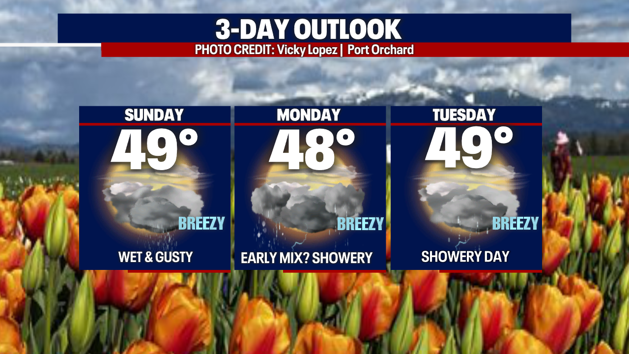 Wet & windy Sunday with active weather into next week | FOX 13 Seattle