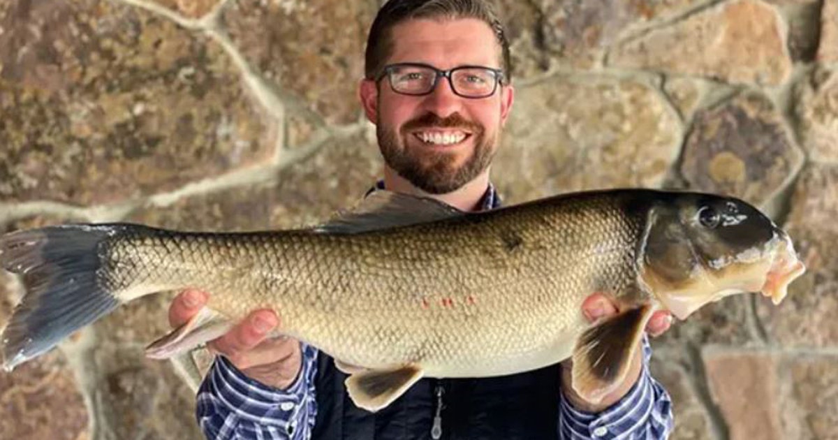 Wyoming angler reels in 2 record-breaking fish in 2-week span | FOX 13 ...