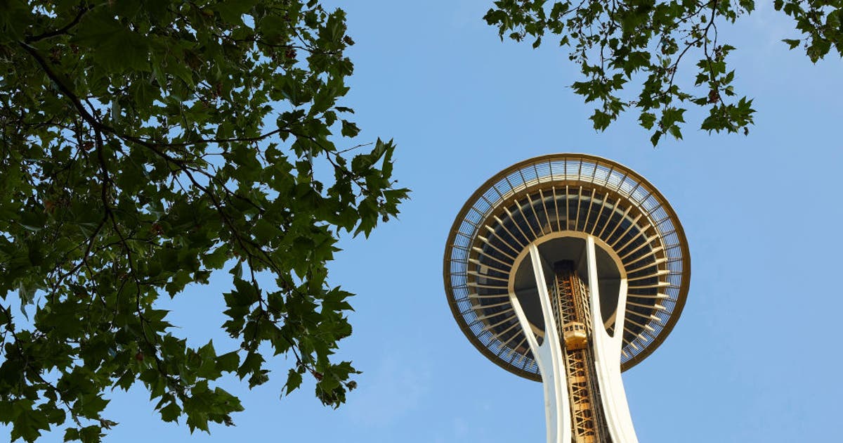 Seattle passes tree protection ordinance in effort to create more ...