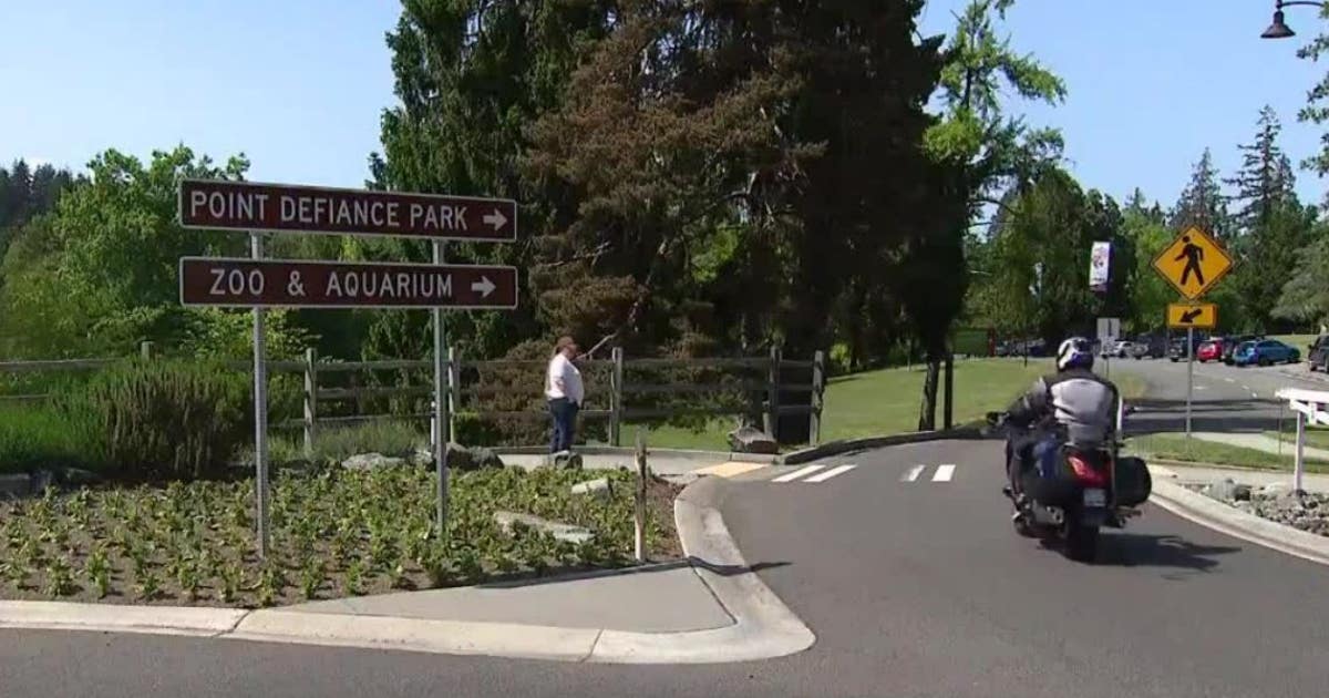 Bullet grazes woman's head after man tries robbing her purse at Pt ...