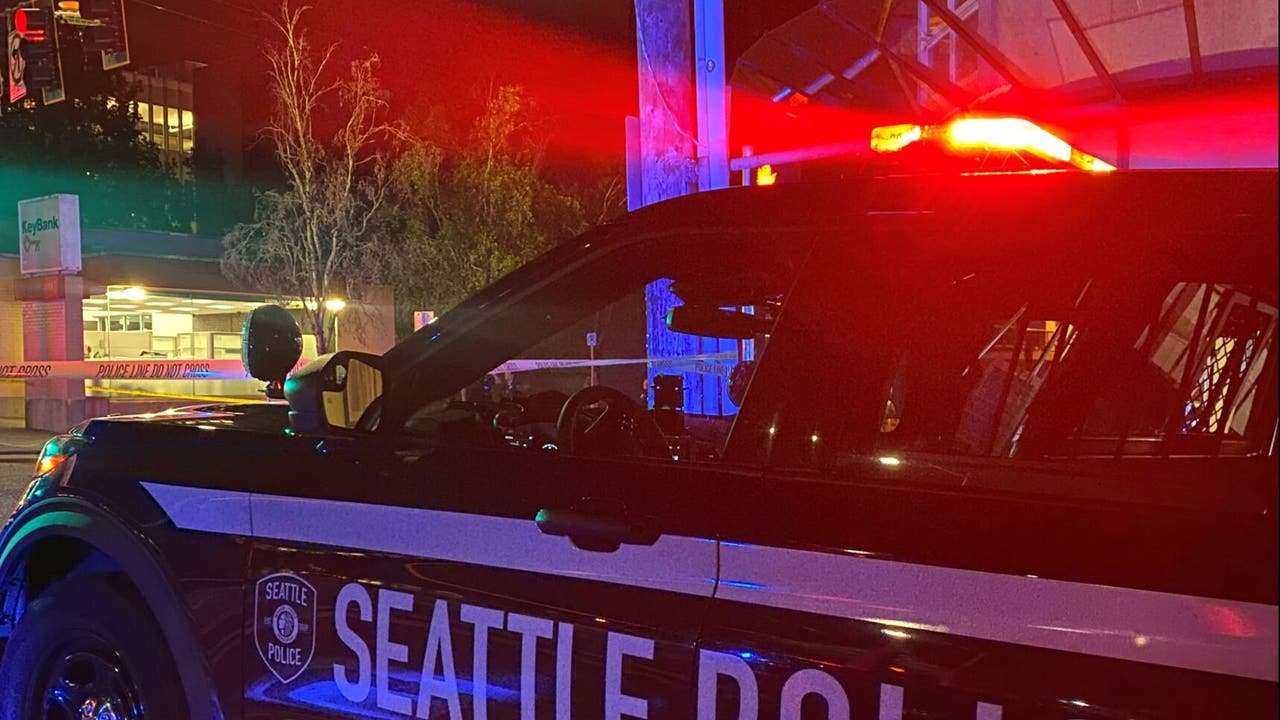 Woman Killed In Seattle Hit And Run Police Release Vehicle Description