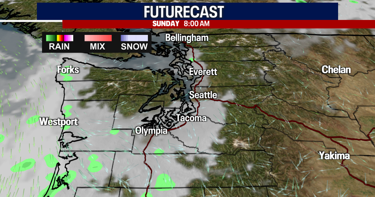 Morning clouds and afternoon sunshine this weekend | FOX 13 Seattle