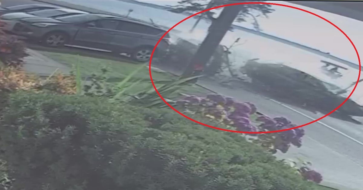 Surveillance video shows crash that sent car flying into Puget Sound ...