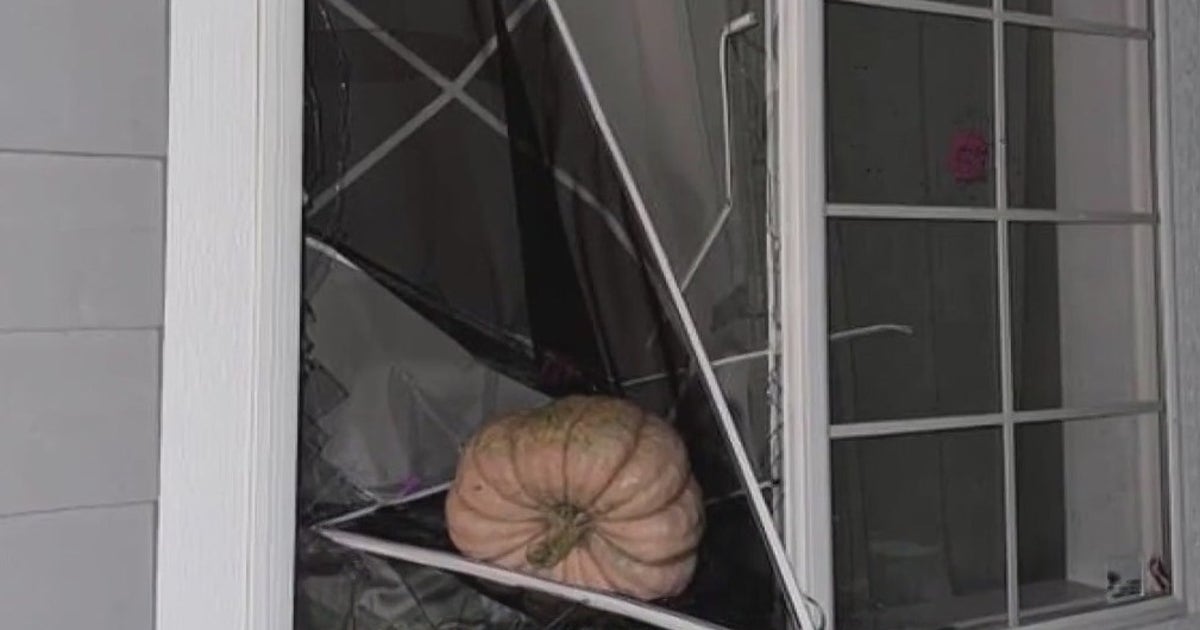 ‘I felt defenseless at that point’; Vandals use pumpkins to damage ...