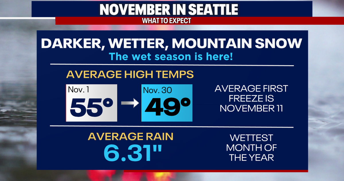 Seattle weather: Heavy rain hits Western Washington Wednesday night ...