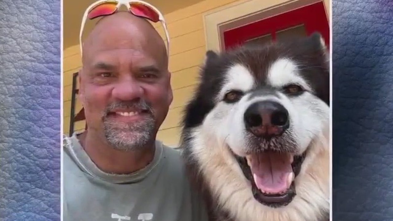 Ravensdale man killed while walking dog may have witnessed a crime ... Ravensdale man killed while walking dog may have witnessed a crime ...