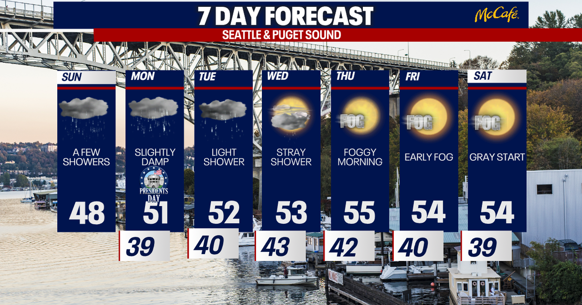 Cozy, gray and damp Sunday for Seattle | FOX 13 Seattle