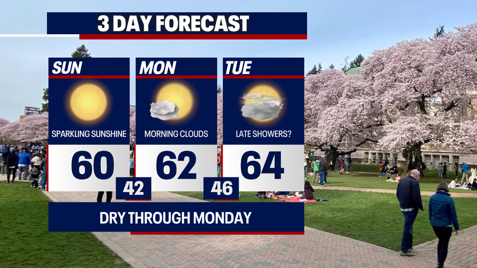 Gorgeous weather in Seattle for Easter | FOX 13 Seattle