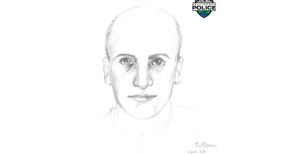 Police release sketch of suspect in Lake Padden Park assault | FOX 13 ...