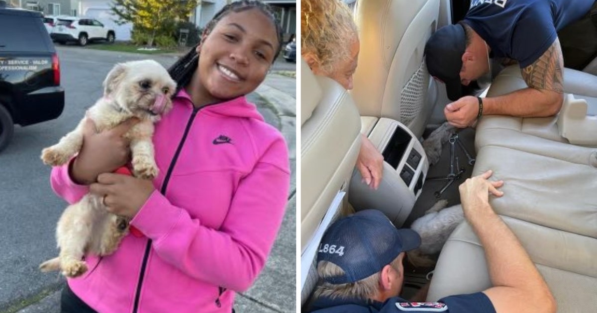 Renton firefighters rescue puppy stuck under back seat | FOX 13 Seattle