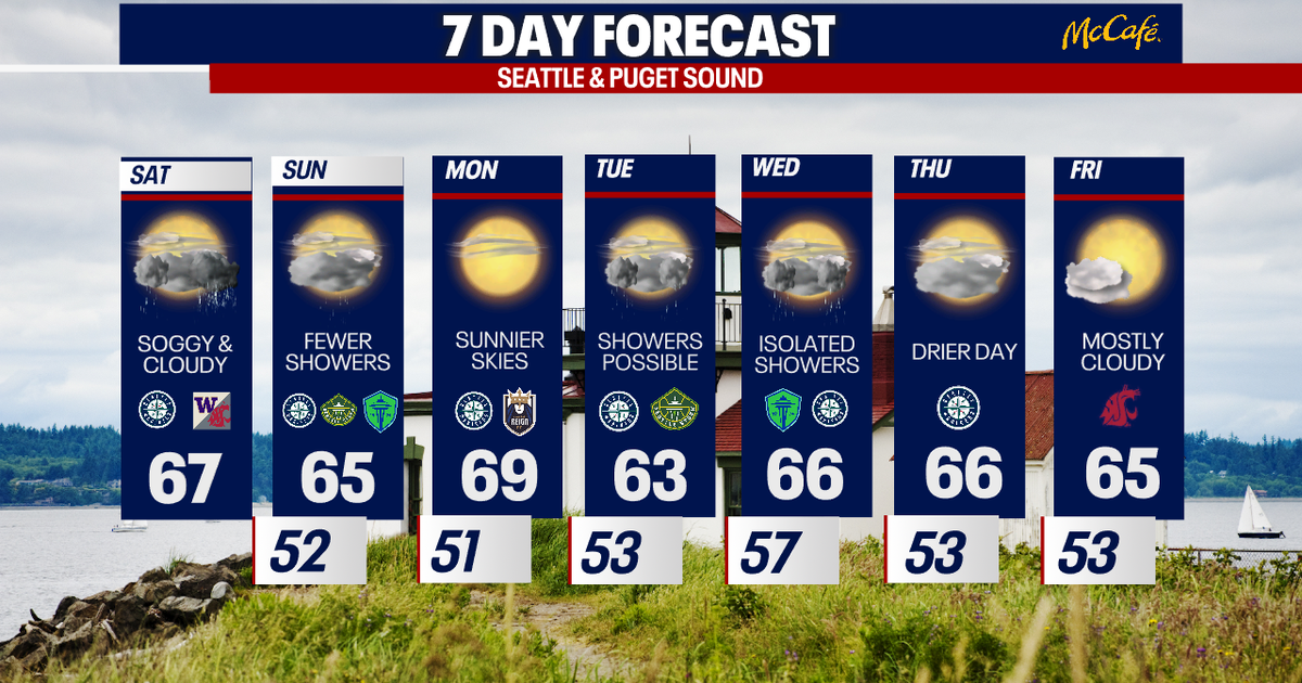 Gray and soggy weather is on tap for Apple Cup Saturday | FOX 13 Seattle
