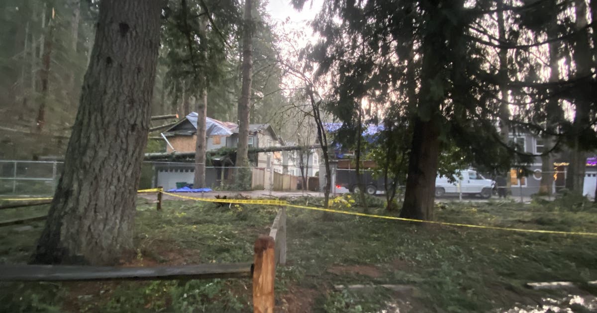 King Co. councilmember works to secure storm recovery funds | FOX 13 ...