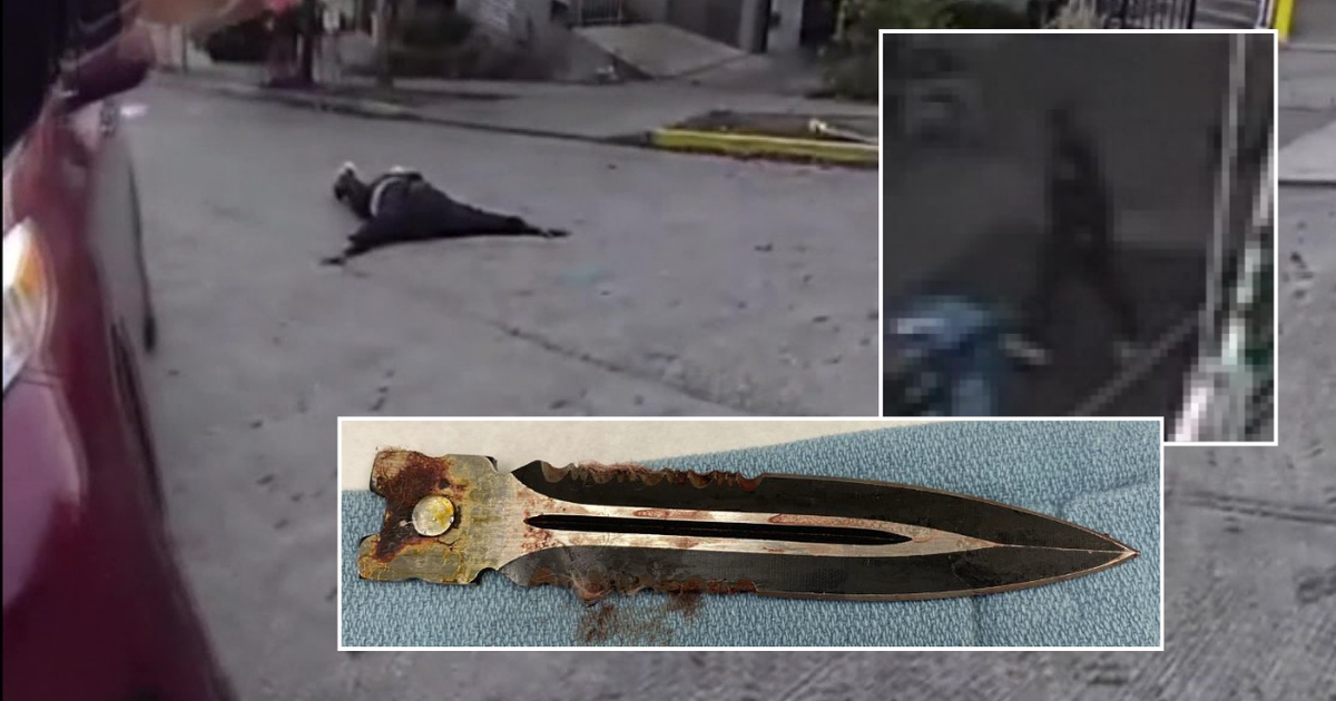 Seattle mass stabbing suspect charged, has 9 prior felonies | FOX 13 ...