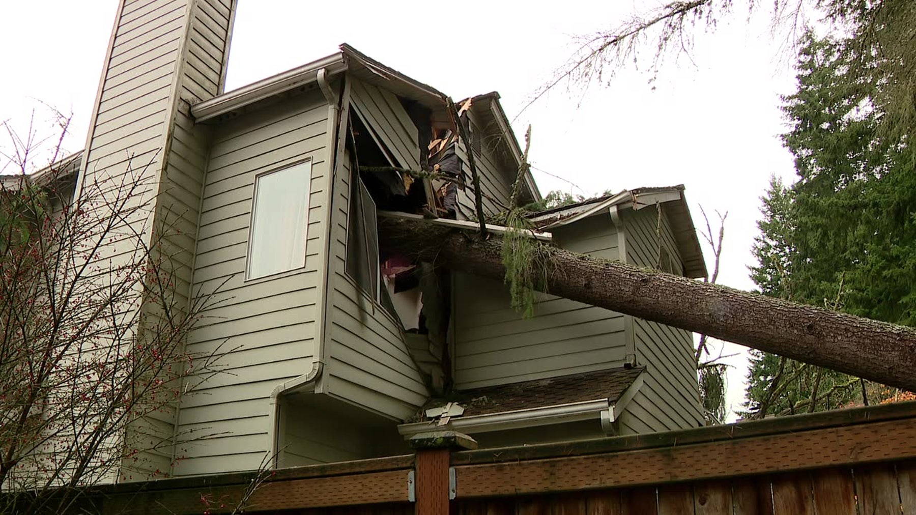 Local News from FOX13 Seattle | Formerly Q13 News | FOX 13 Seattle