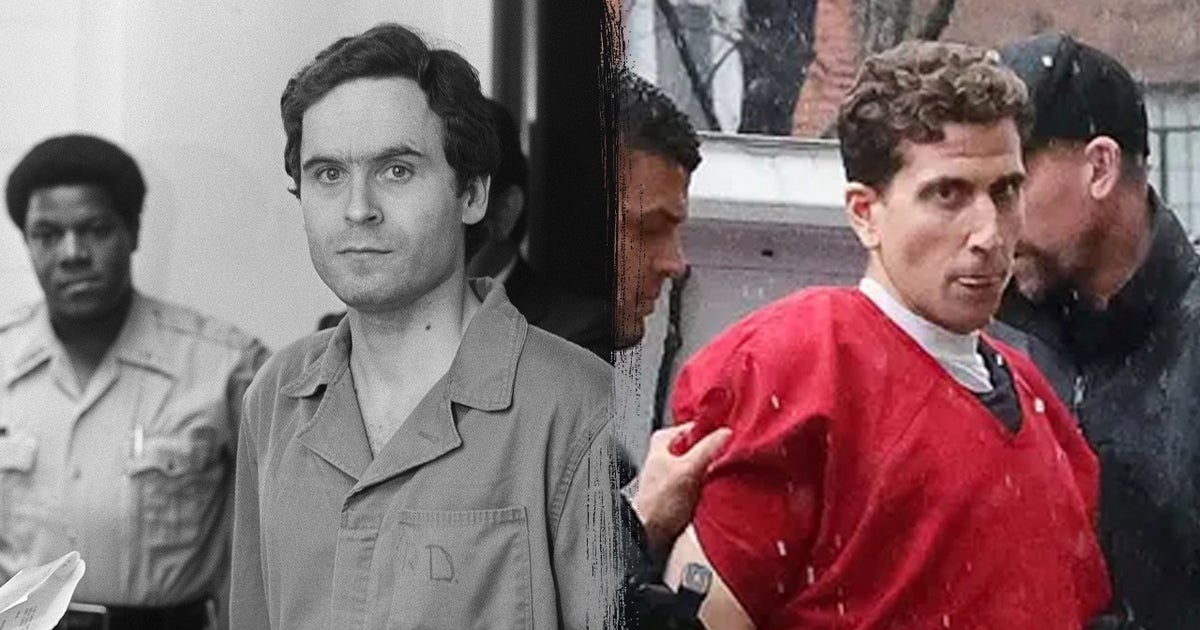 Ted Bundy lawyer reveals what 'totally fascinates' him about Bryan ...
