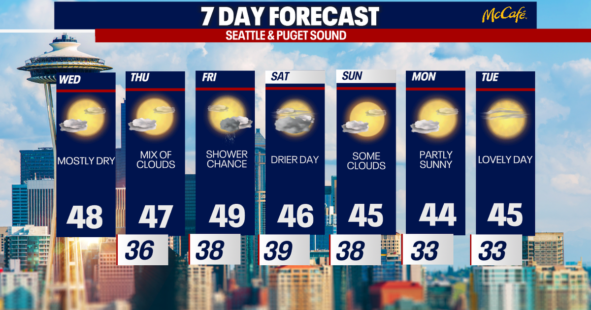 Beautiful January sunshine in Seattle this week | FOX 13 Seattle