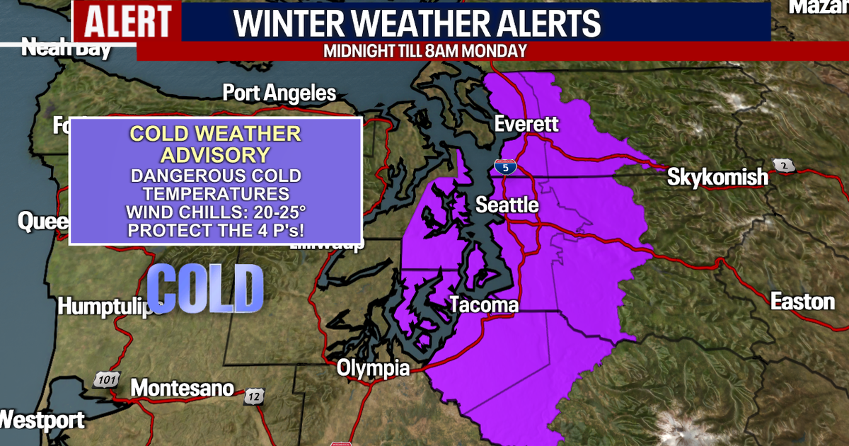 Seattle weather: Prepare for frigid, frosty week | FOX 13 Seattle
