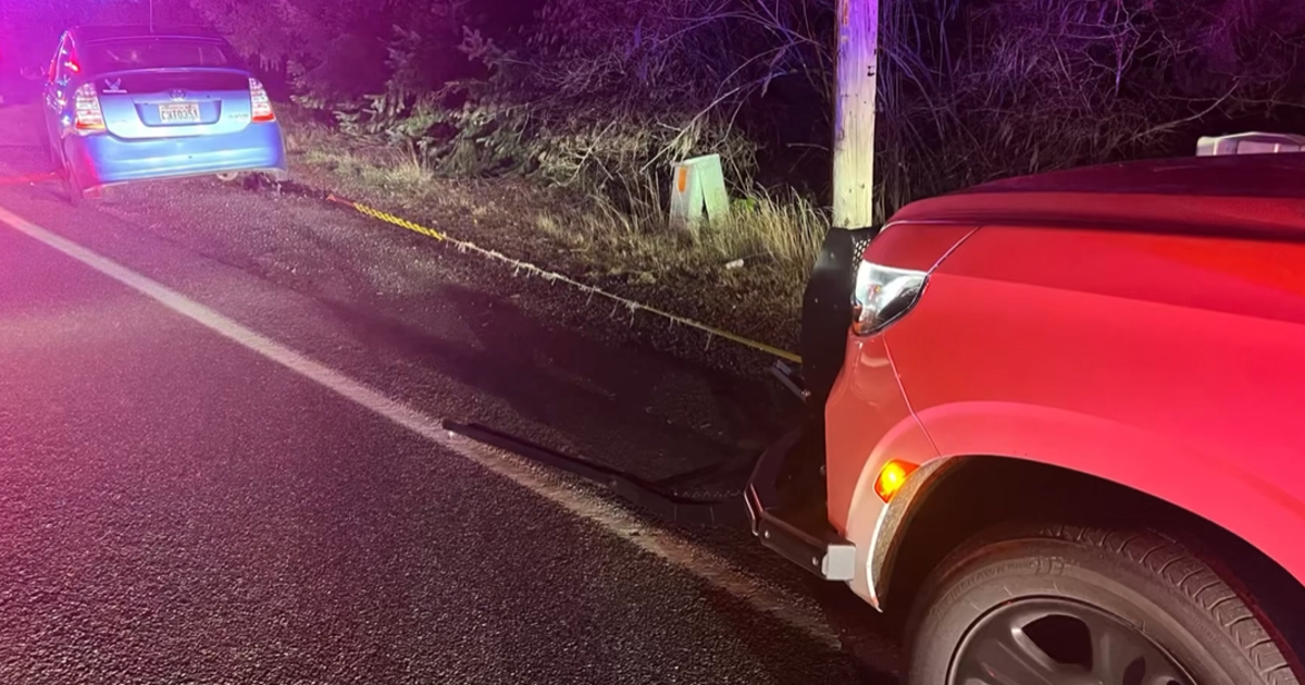 Thurston Co. deputies catch fleeing suspect with grappler | FOX 13 Seattle