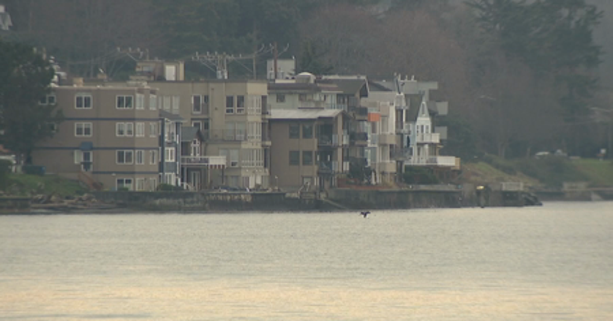Environmental experts worried about sea levels rising | FOX 13 Seattle