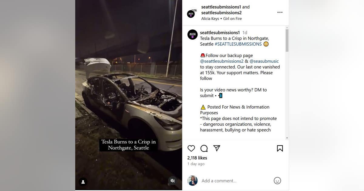 Burnt Tesla fuels anti-Tesla sentiment in WA | FOX 13 Seattle