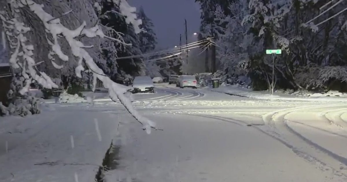 Seattle power outages: Thousands lose electricity in storm | FOX 13 Seattle