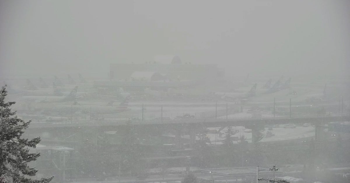 Snow falls in Seattle on Monday | FOX 13 Seattle
