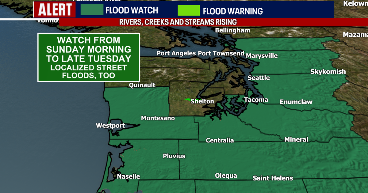 Rounds of Heavy Rain on Sunday | FOX 13 Seattle
