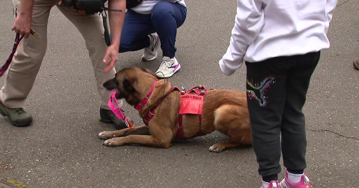 Kitsap County Search Dogs seeking 'hiders' | FOX 13 Seattle