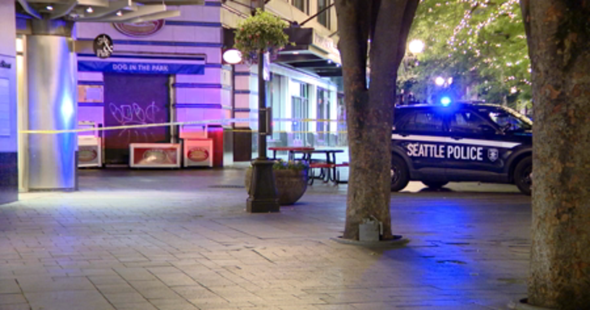Police investigate fatal Downtown Seattle stabbing | FOX 13 Seattle
