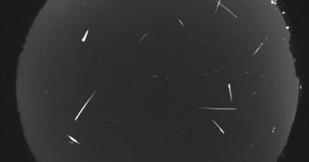 July's dueling meteor showers to peak this week in WA | FOX 13 Seattle
