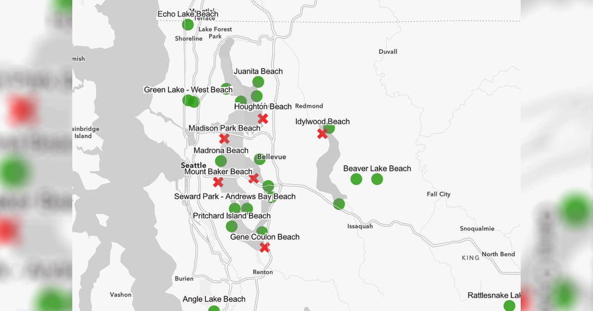 Lake Washington beaches closed due to high bacteria levels | FOX 13 Seattle