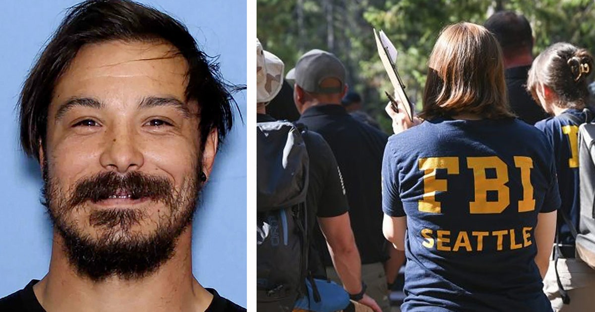 Bones found in Travis Decker search were animal remains | FOX 13 Seattle