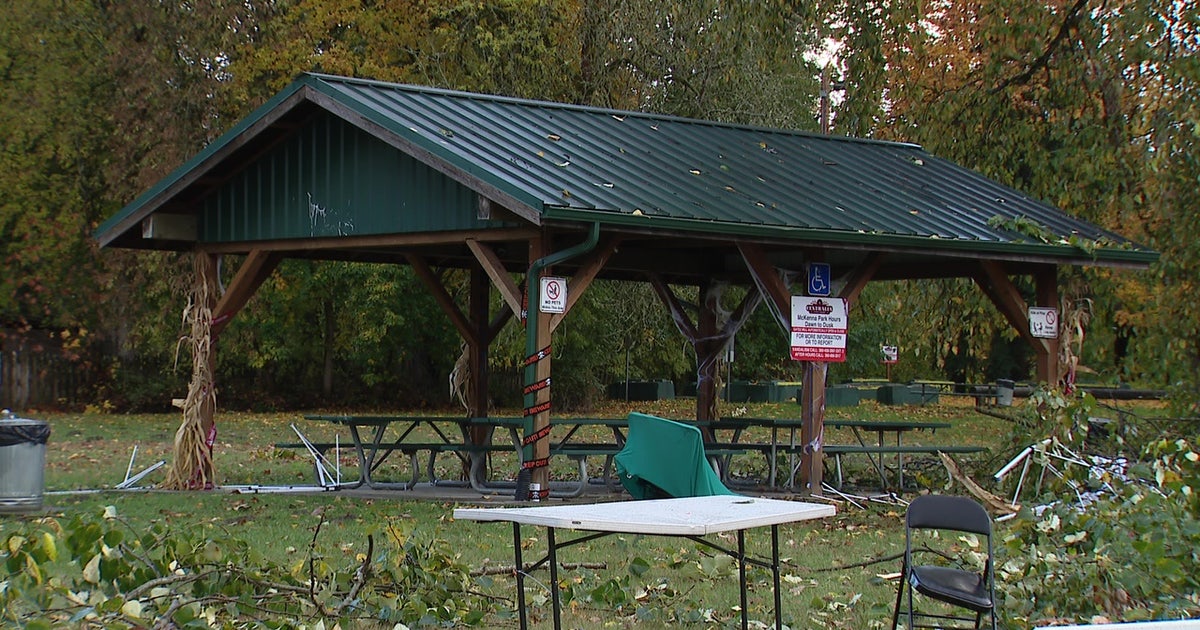 Fallen tree kills 1, injures more at WA Halloween event | FOX 13 Seattle
