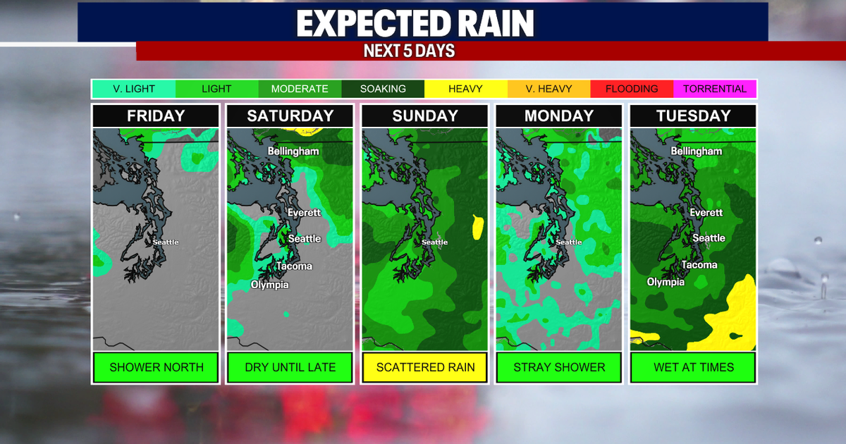 Seattle weather: Who will see rain this weekend | FOX 13 Seattle
