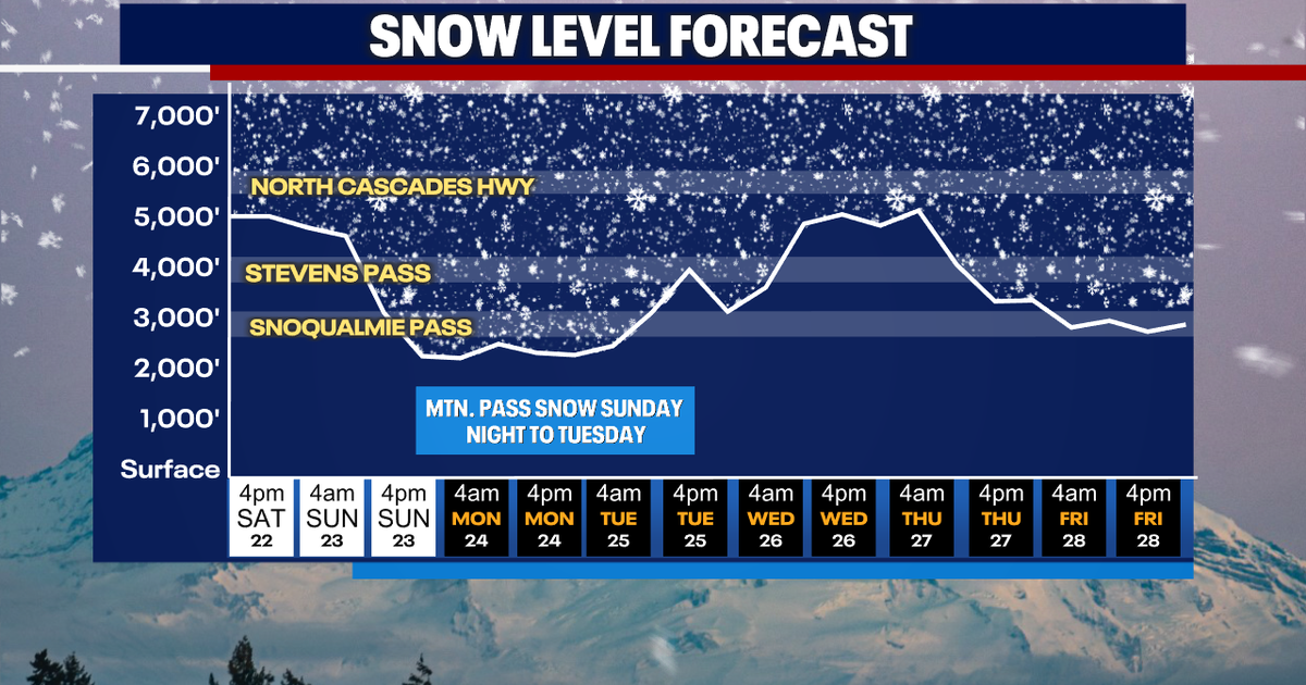 Seattle weather: Full Thanksgiving week forecast | FOX 13 Seattle
