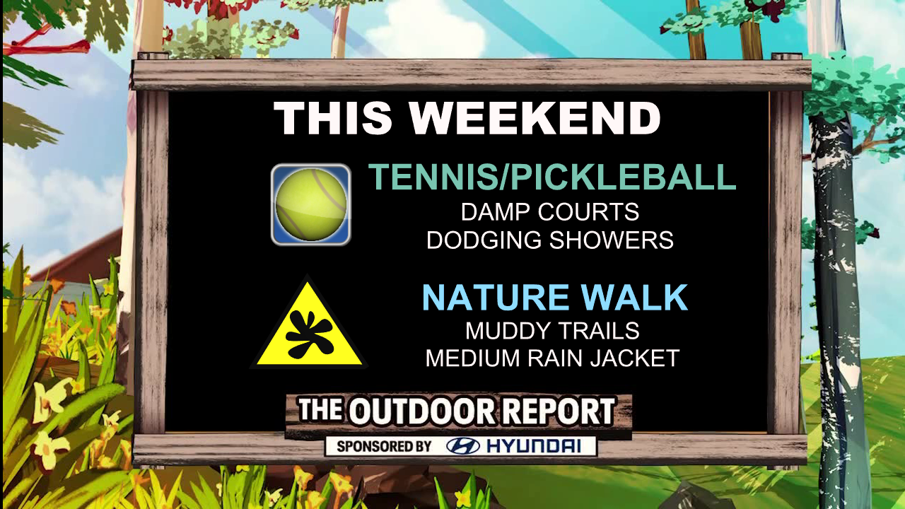 Seattle weather: less rain but gray skies remain | FOX 13 Seattle