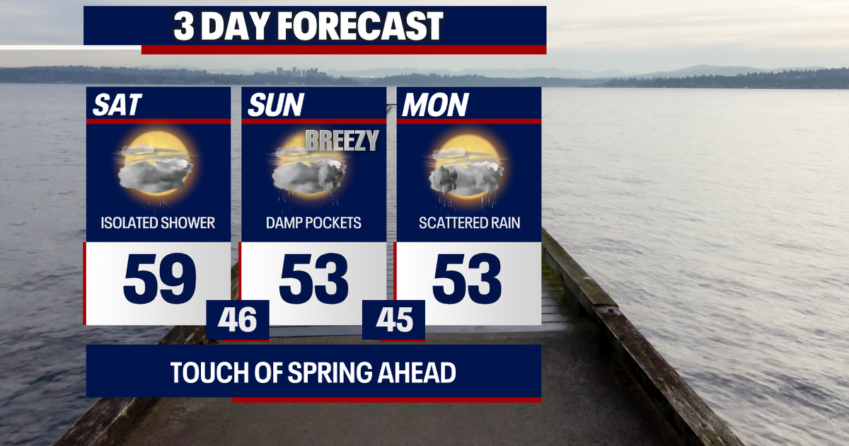 Spring-like weather in January for Seattle | FOX 13 Seattle