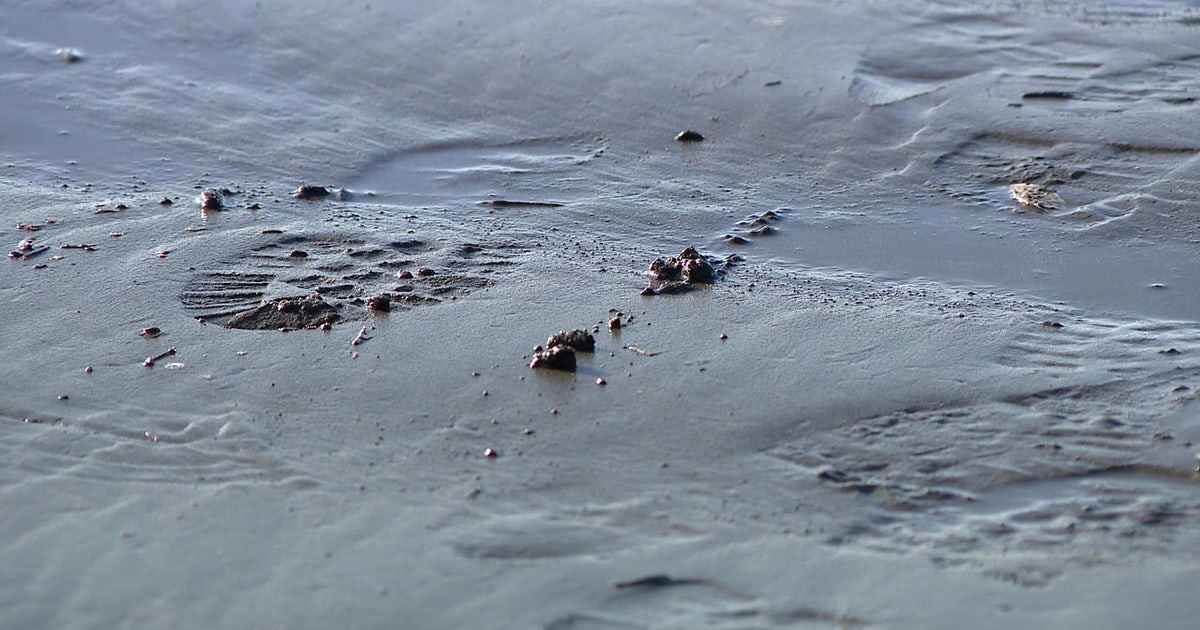 The Salish Sea ‘foot mystery’ isn’t what the internet thinks | FOX 13 ...