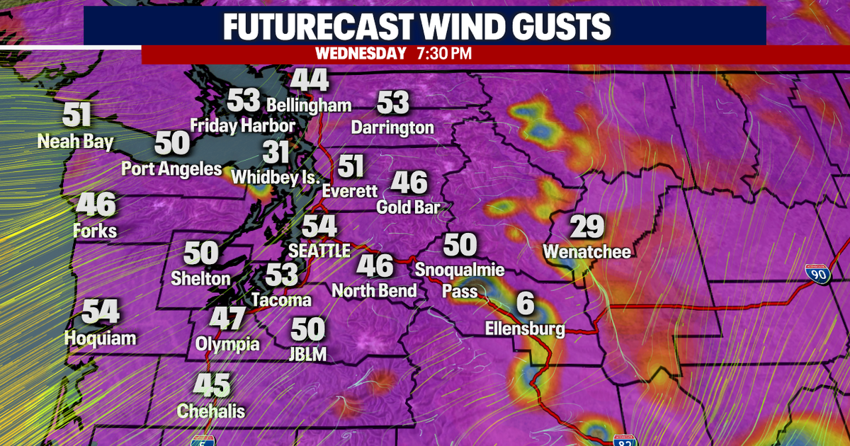 Seattle Weather: A wet and windy Wednesday | FOX 13 Seattle