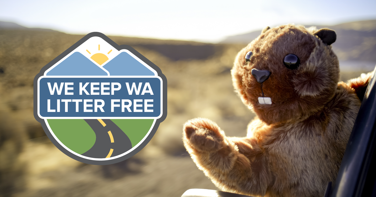 WA Ecology unveils new anti-litter mascot | FOX 13 Seattle