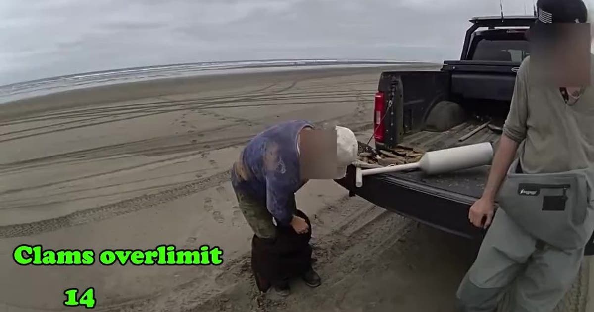 WA couple caught hiding dozens of razor clams in waders | FOX 13 Seattle