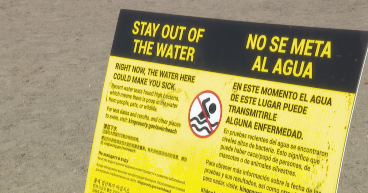 High-bacteria, multiple drownings in WA waters | FOX 13 Seattle