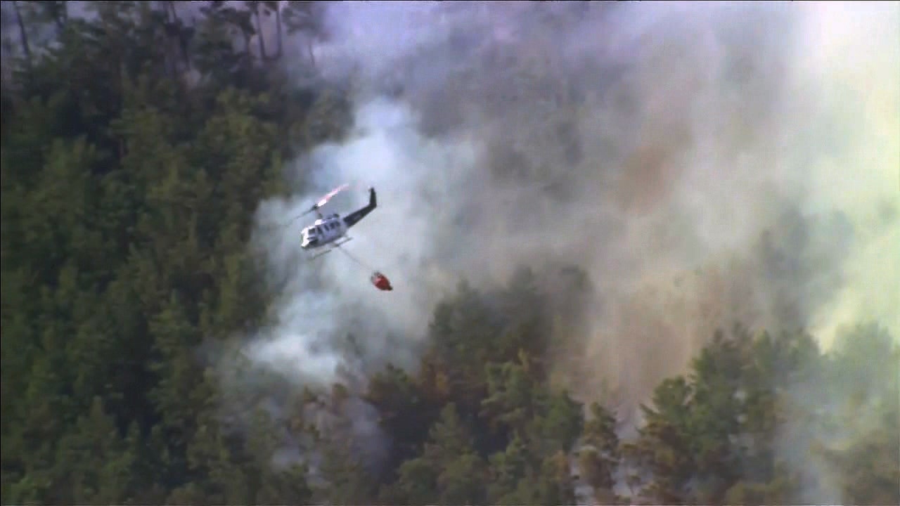 Brush fires break out in Ocala National Forest